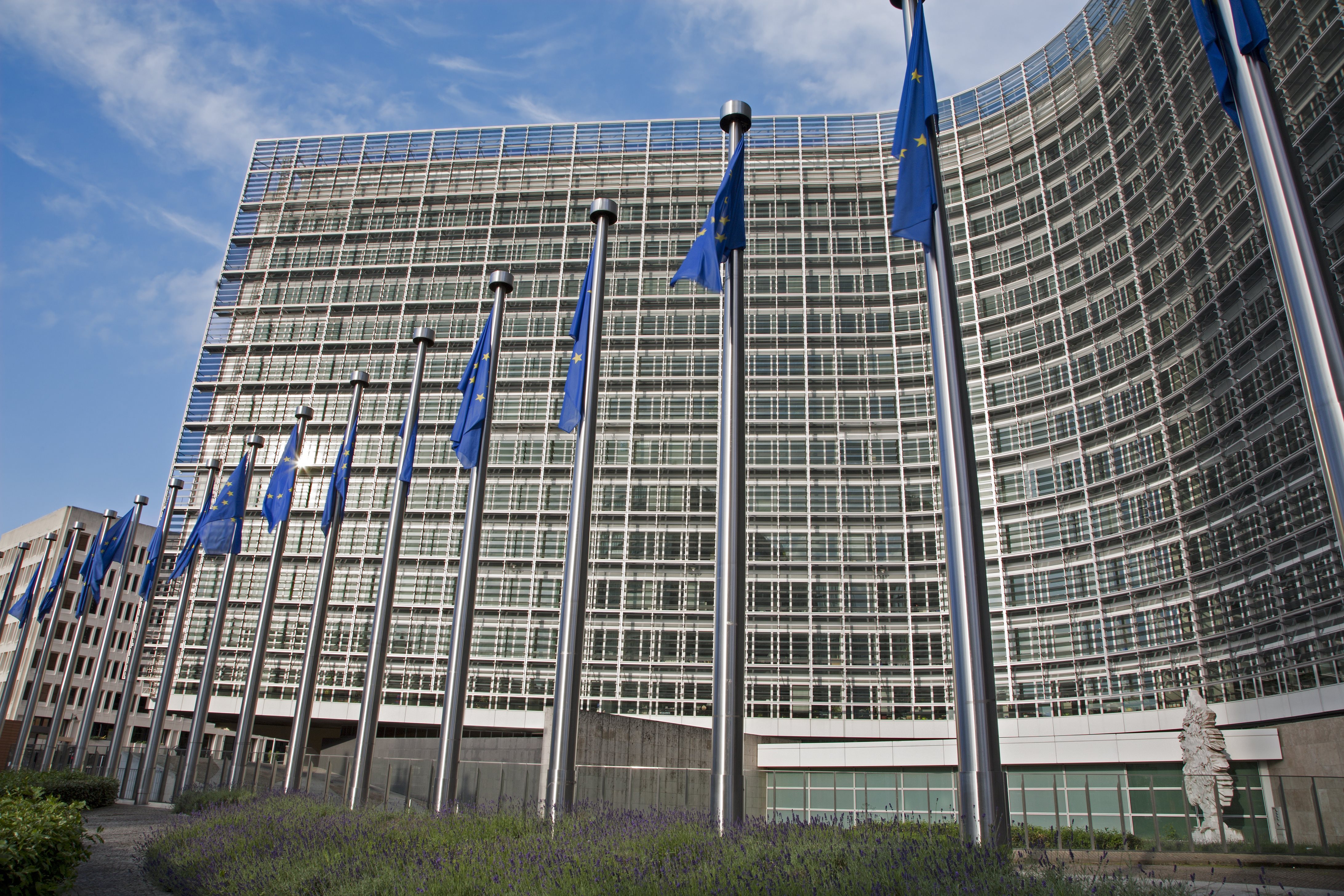 5 / 8 2019 nye medlemmer af europa parlamentet vil kæmpe for skrappere ...