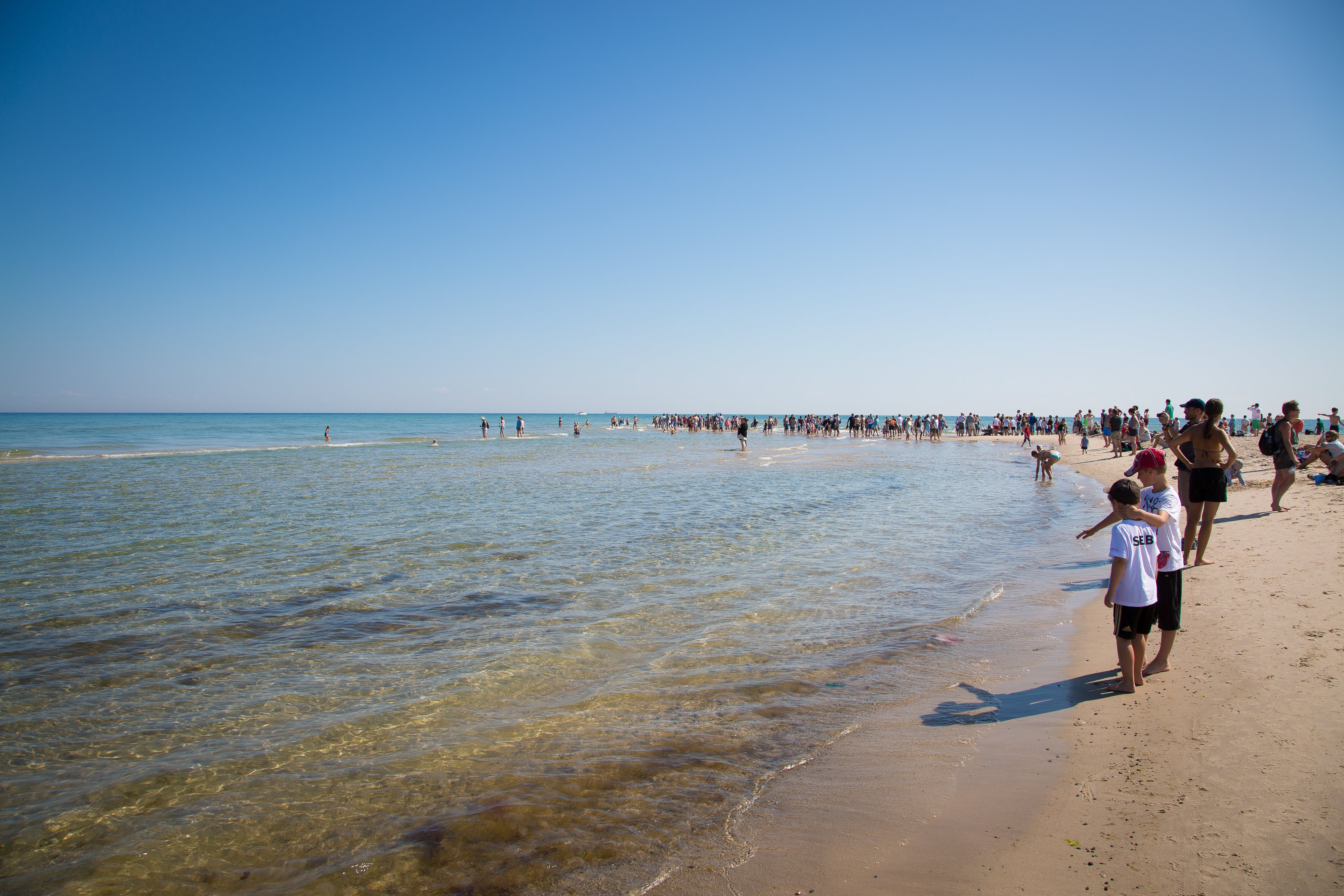 The Danish Water Sector