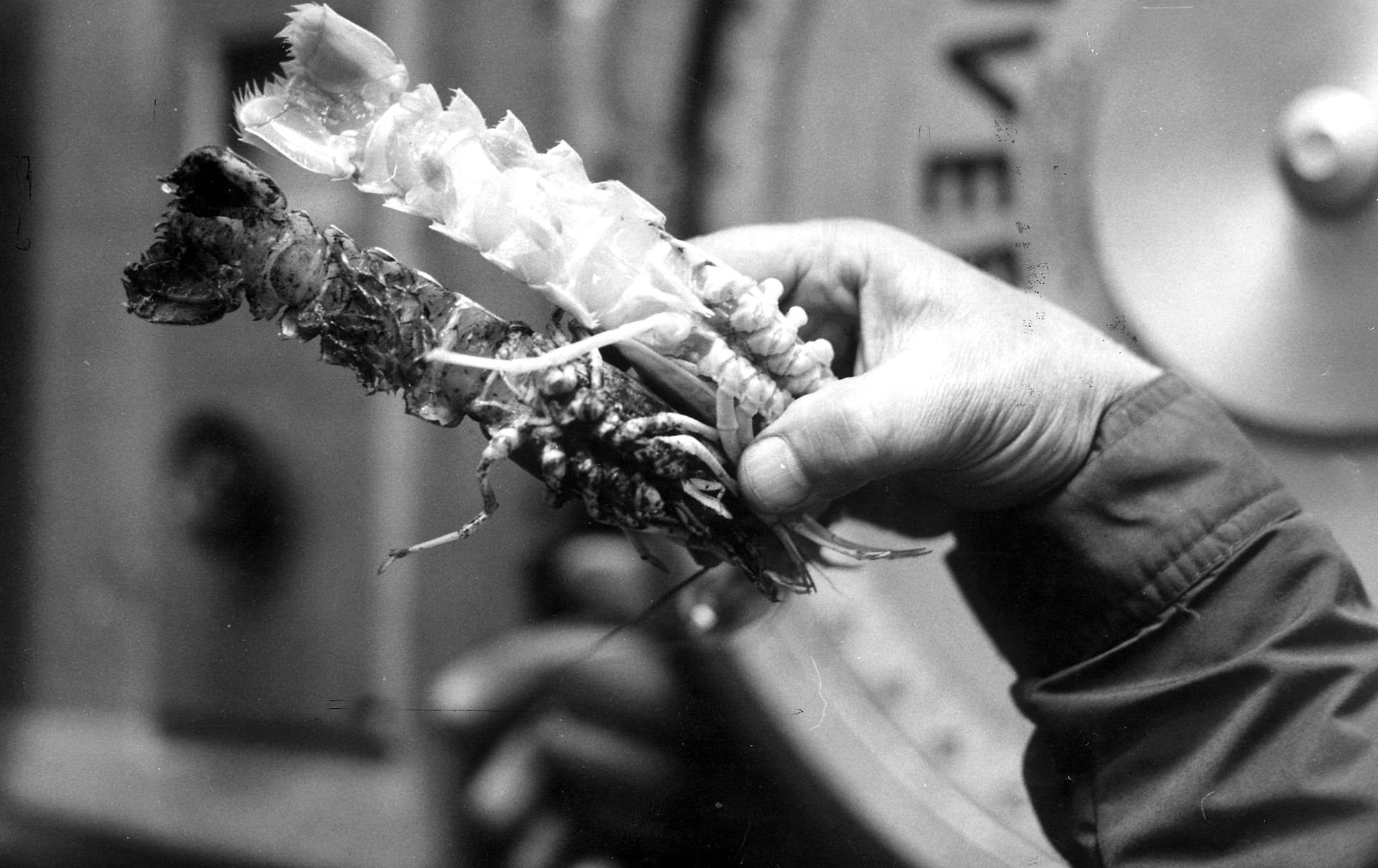 New study: SDGs have brought changes to Danish water companies