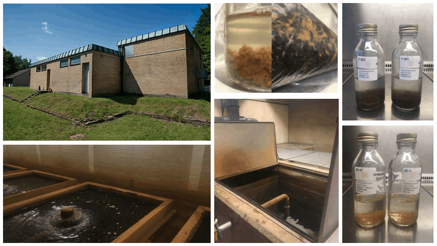 collage.png?anchor=center&mode=crop&width=800&rnd=133082457500000000